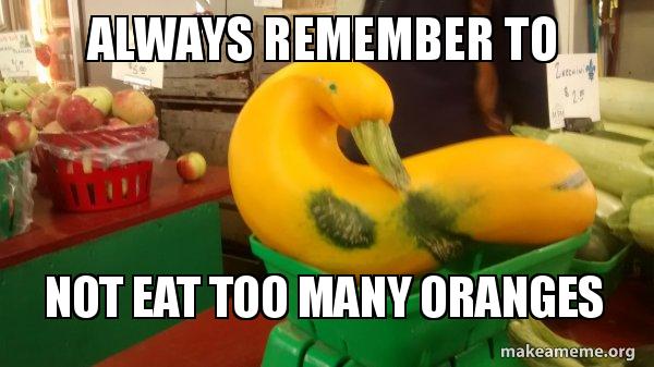 Always remember to NOT eat too many oranges - Gourd Advice Mallard Meme ...