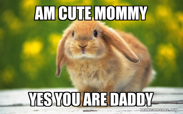 am cute mommy yes you are daddy - Regretful Rabbit Meme Generator