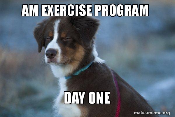 Dog Fitness Memes Even If I Don’t Hit A PR At The Gym, I Will Always
