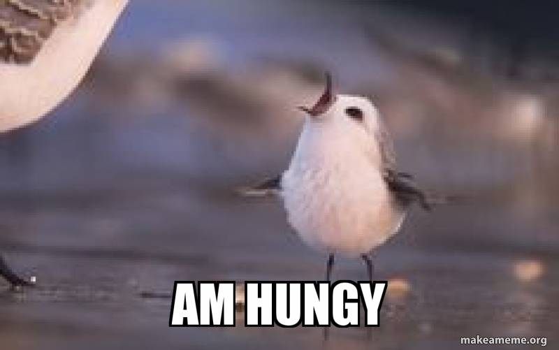 Am hungy Meme Generator