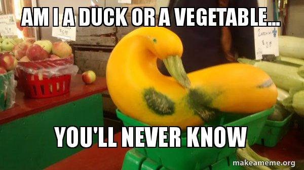 AM i a duck or a vegetable... you'll never know - Gourd Advice Mallard ...