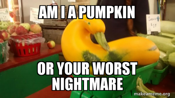 Am i a pumpkin or your worst nightmare - Gourd Advice Mallard Meme ...