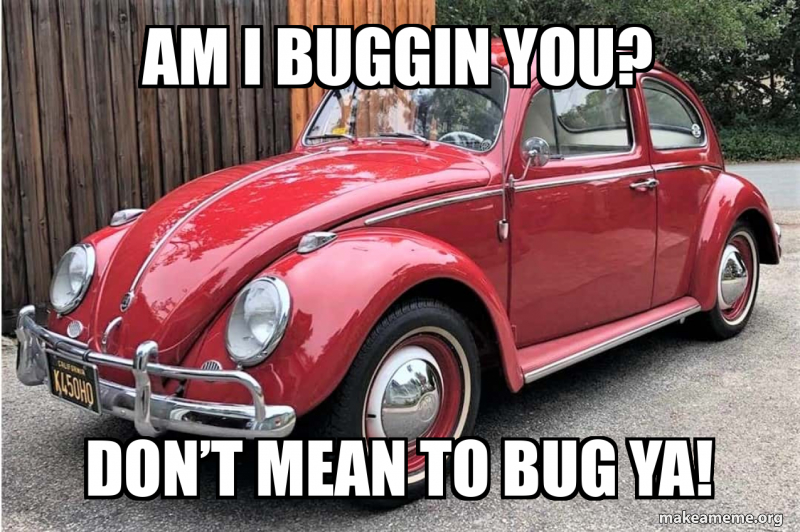 Am i buggin you? Don’t mean to bug ya! Meme Generator
