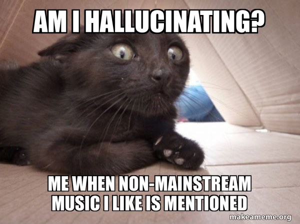 Am I hallucinating? Me when non-mainstream music I like is mentioned ...