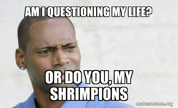 Am i questioning my life? Or do you, my shrimpions - Confused Black Man ...