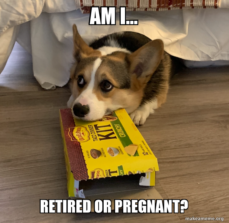 am i... RETIRED or pregnant? Meme Generator