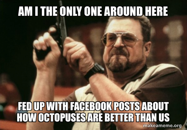 Am I the only one around here Fed up with Facebook posts about how ...