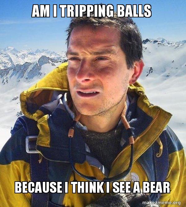 Am I tripping balls Because i think I see a bear - Bear Grylls Meme ...