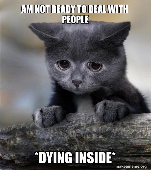 Am not ready to deal with people *dying inside* - Confession Cat Meme Generator
