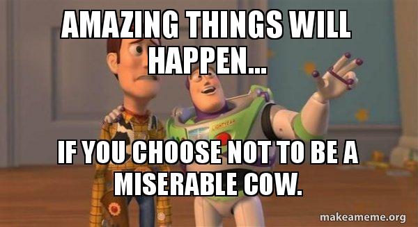 Amazing things will happen... If you choose not to be a miserable cow ...