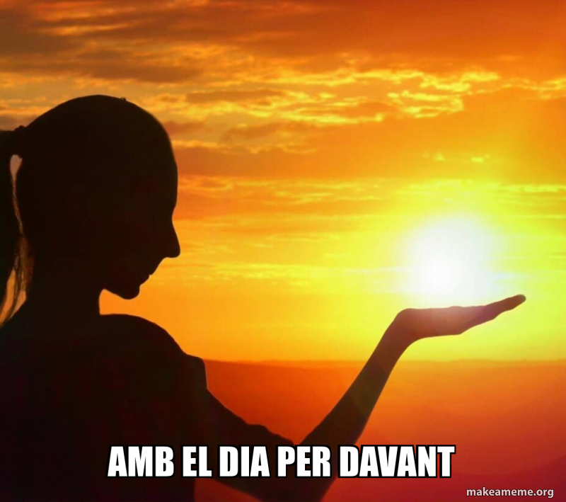 Amb el dia per davant Meme Generator