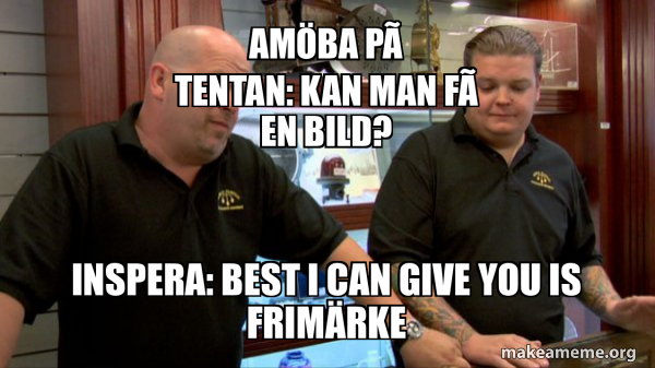 Amöba på tentan: kan man få en bild? Inspera: Best I can give you is ...