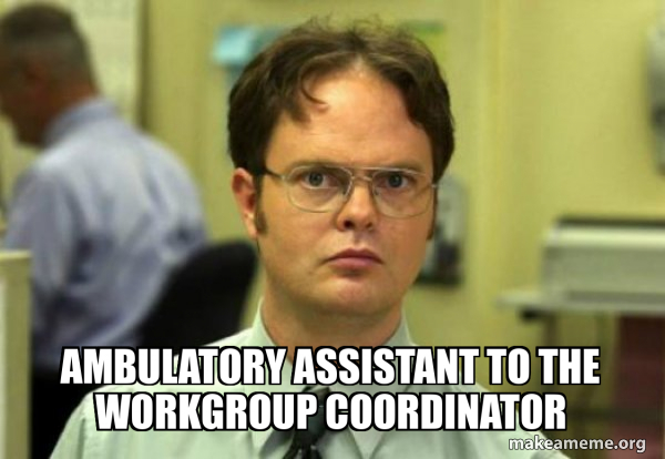Ambulatory Assistant to the Workgroup Coordinator - Schrute Facts ...