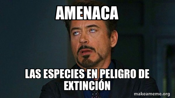 Memes En Extincion 8 Especies De Ajolotes En Peligro De Extinción En