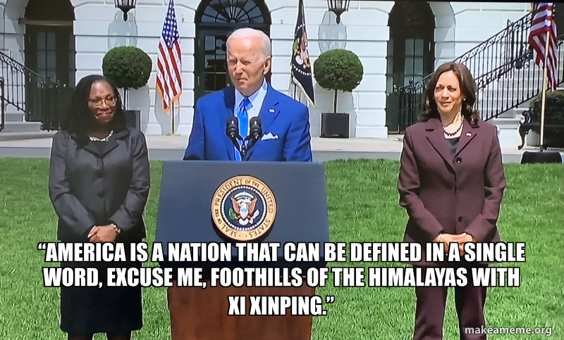 “America iS A nation That can be defined in a single word, excuse me ...