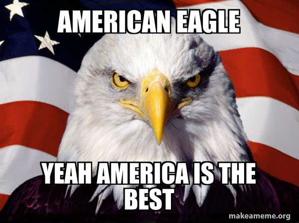 AMERICAN EAGLE YEAH AMERICA IS THE BEST - American Pride Eagle Meme Generator
