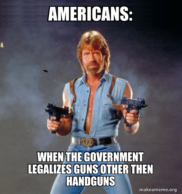 Americans: When the government legalizes guns other then handguns ...