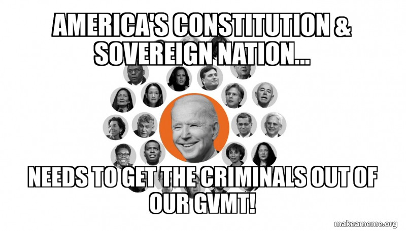America's Constitution & sovereign nation... needs to get the criminals ...