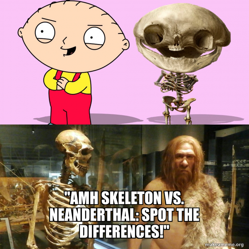 "AMH SKELETON VS. NEANDERTHAL: SPOT THE DIFFERENCES!" Meme Generator