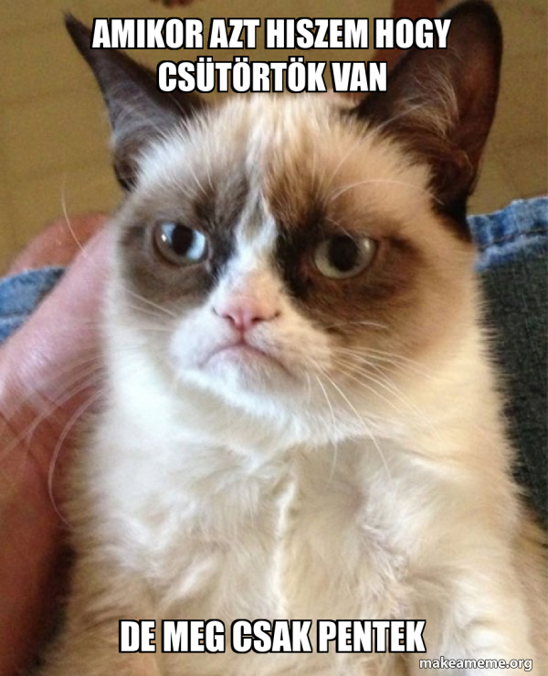 Amikor azt hiszem hogy csütörtök van De meg csak pentek - Grumpy Cat ...
