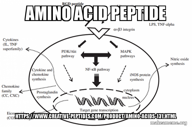 amino acid peptide https://www.creative-peptides.com/product/amino ...