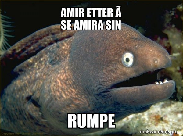amir etter å se amira sin rumpe - Bad Joke Eel Meme Generator