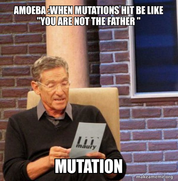 Amoeba :when mutations hit be like "you are not the father " Mutation ...