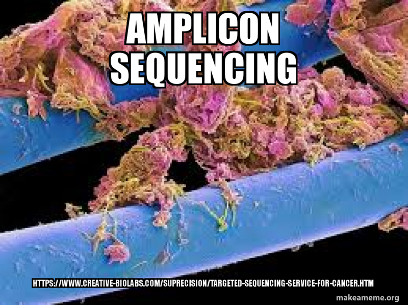 amplicon Sequencing https://www.creative-biolabs.com/suprecision ...