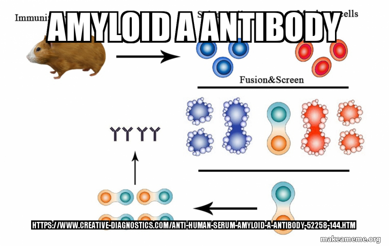 Amyloid A Antibody https://www.creative-diagnostics.com/Anti-Human ...