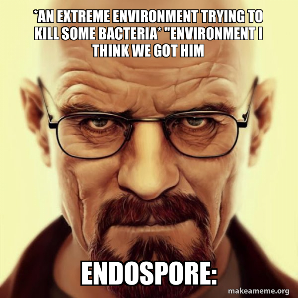 *an extreme environment trying to kill some bacteria* "environment I ...