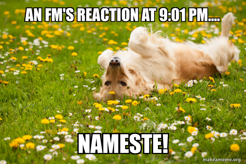 An FM's Reaction at 9:01 PM.... Nameste! Meme Generator