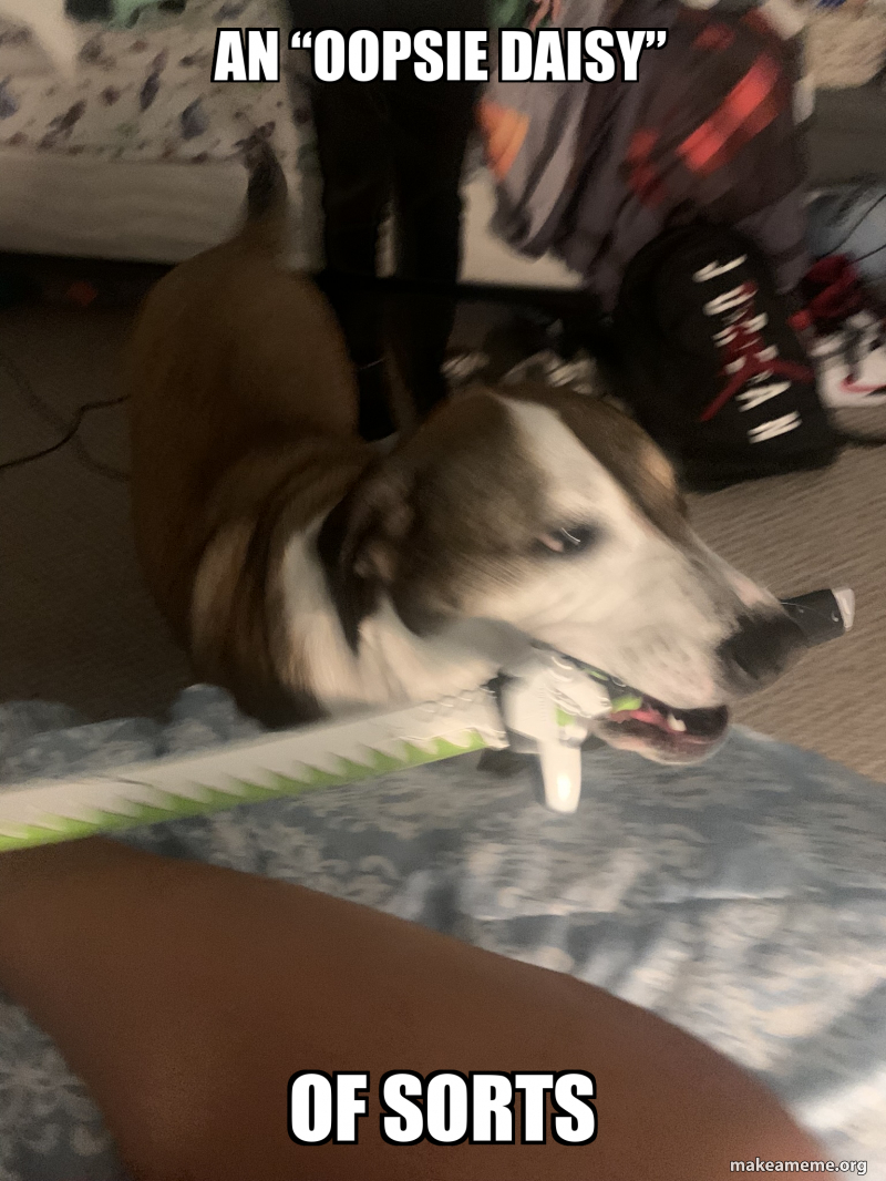 An “oopsie daisy” Of sorts Meme Generator