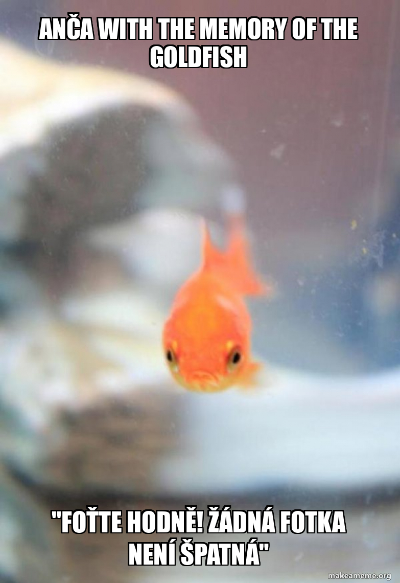 Anča with the memory of the goldfish "foťte hodně! Žádná fotka není ...