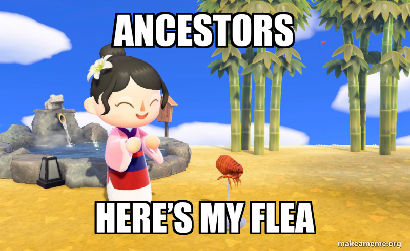 ANCESTORS Here’s MY FLEA Meme Generator