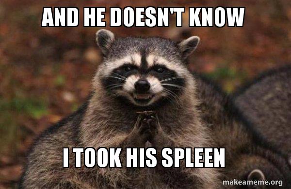 and he doesn't know i took his spleen - Evil Plotting Raccoon Meme ...