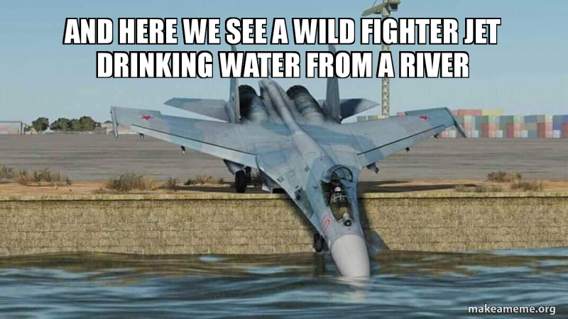 and Here we see a wild fighter jet drinking water from a river Meme ...