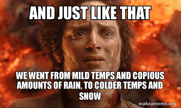 And just like that We went from mild temps and copious amounts of rain ...