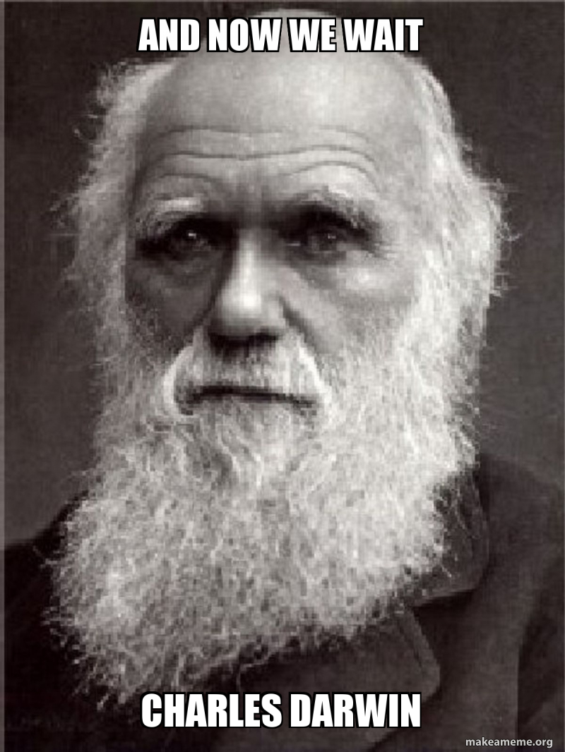 And now we wait Charles Darwin Meme Generator