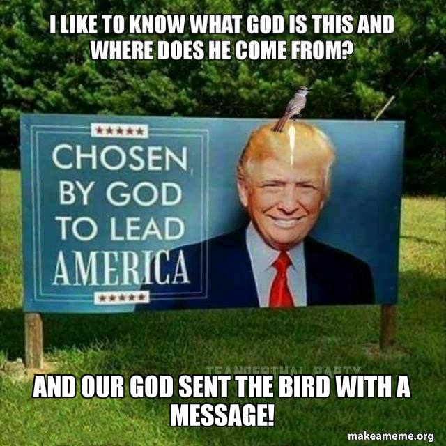 And our God sent the bird with a message! Meme Generator