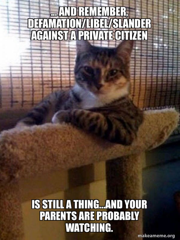 and remember, defamation/libel/slander against a private citizen Is ...