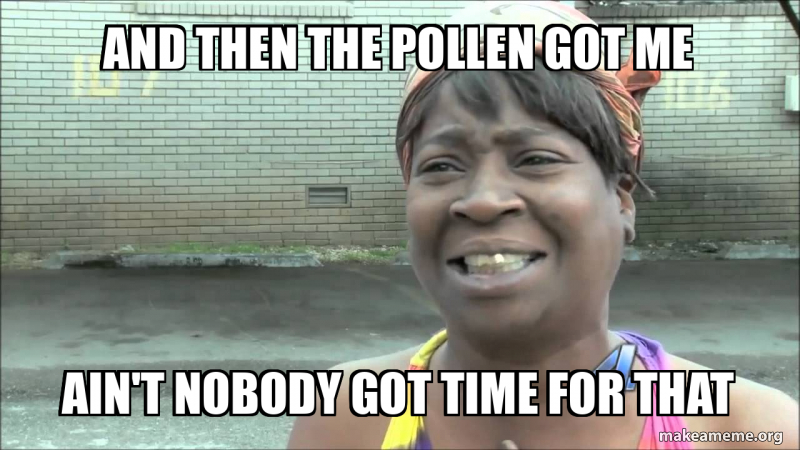 and then the pollen got me ain't nobody got time for that Meme Generator