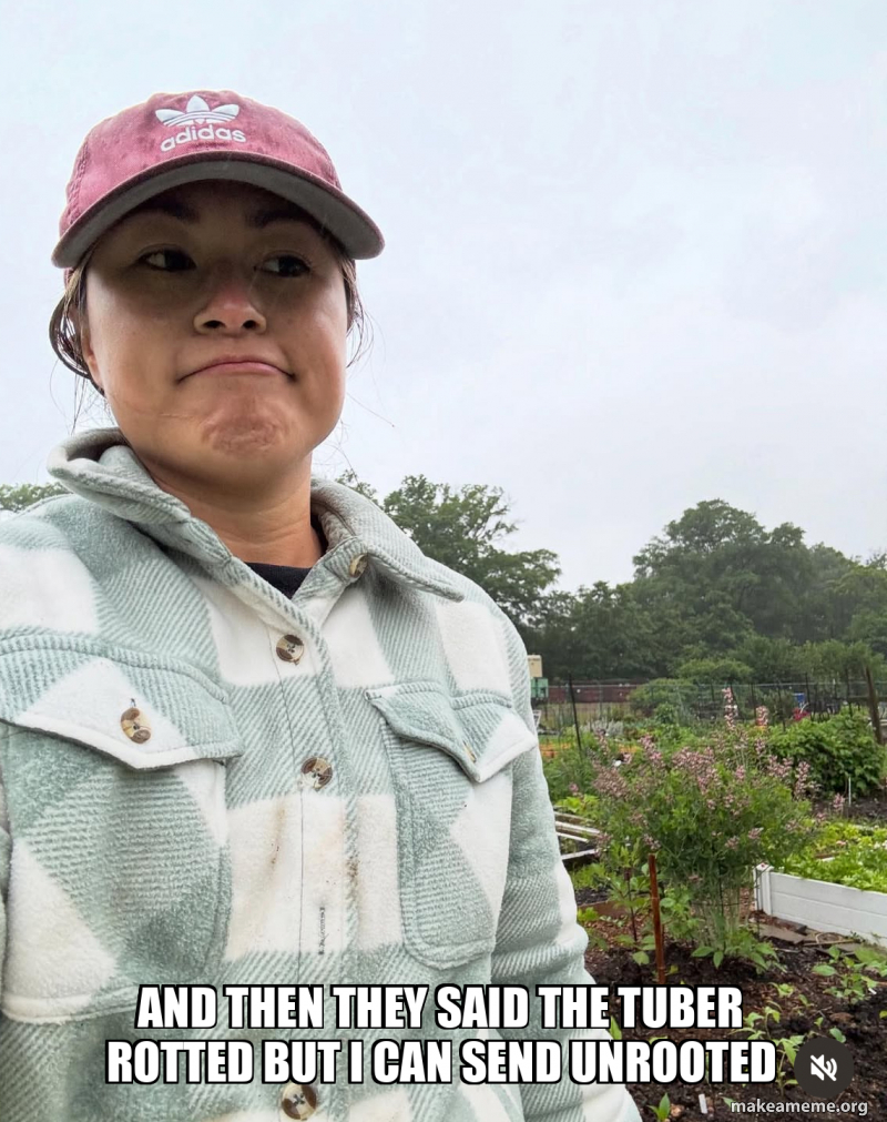 AND THEN THEY SAID THE TUBER ROTTED BUT I CAN SEND UNROOTED Meme Generator