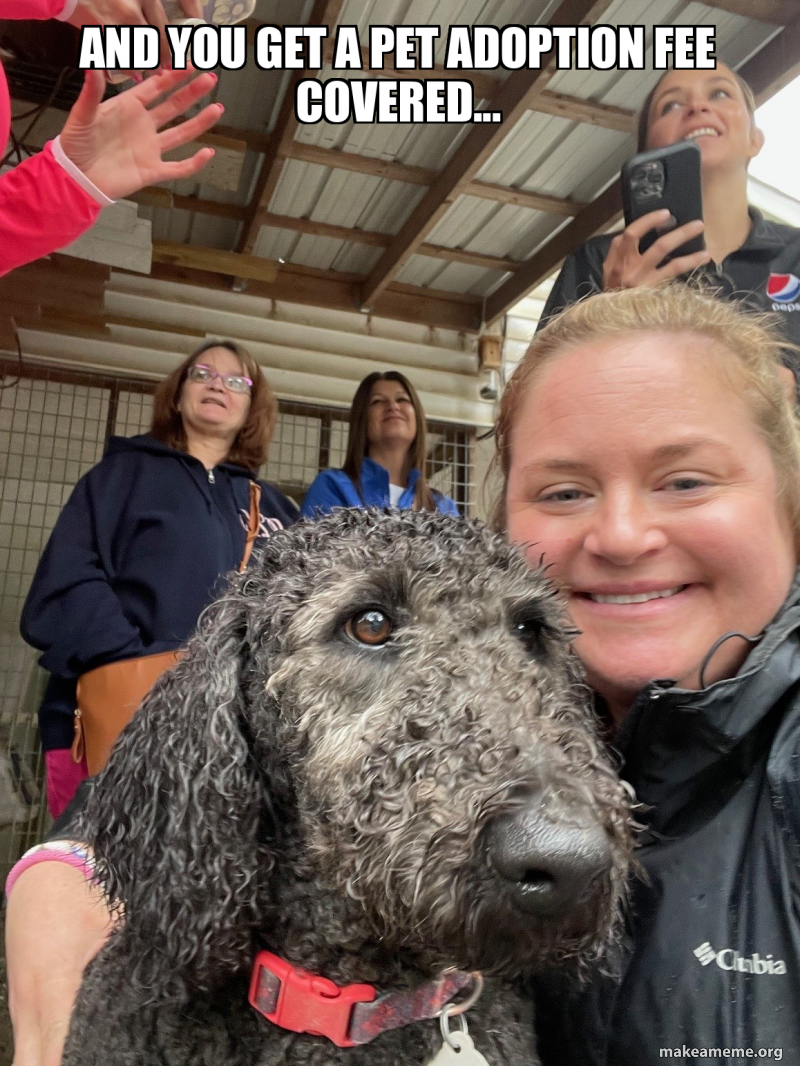 and you get a pet adoption fee covered... Meme Generator