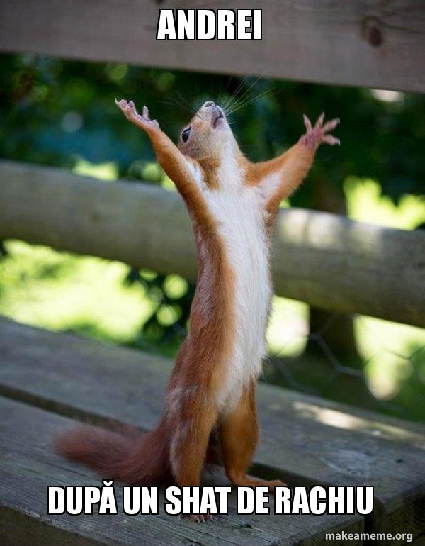 Andrei DupÄƒ un shat de rachiu - Happy Squirrel Meme Generator