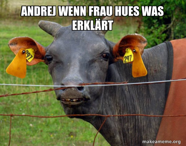 Andrej wenn frau Hues was erklärt - Hairless Cow Meme Generator