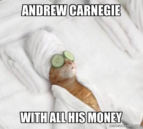 Andrew Carnegie With all his money - Pampered Cat Meme Meme Generator