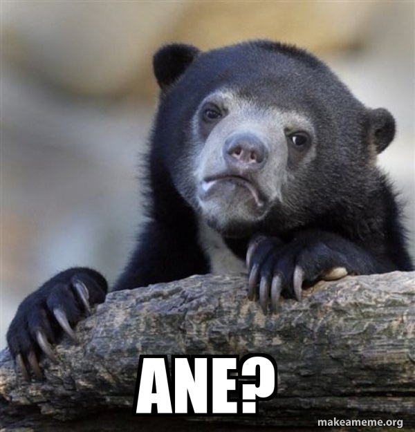 ANE? - Confession Bear Meme Generator