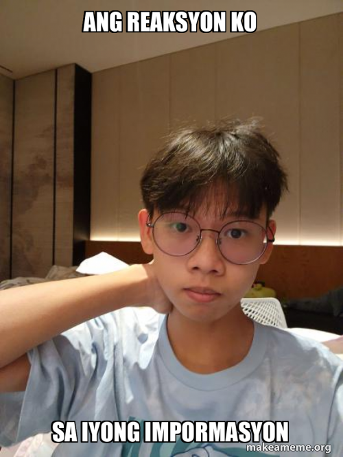 Ang reaksyon ko Sa iyong impormasyon Meme Generator