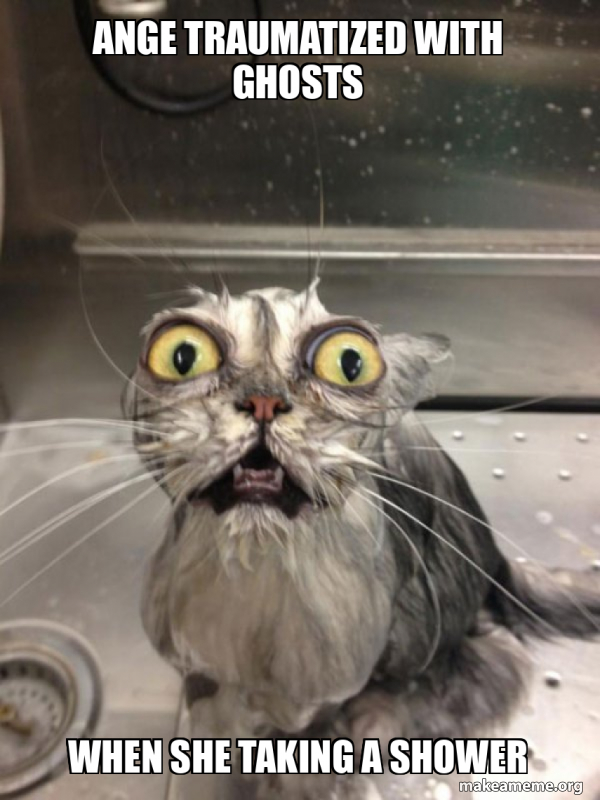 ANGE traumatized with ghosts when she taking a shower - Cat bath Meme ...