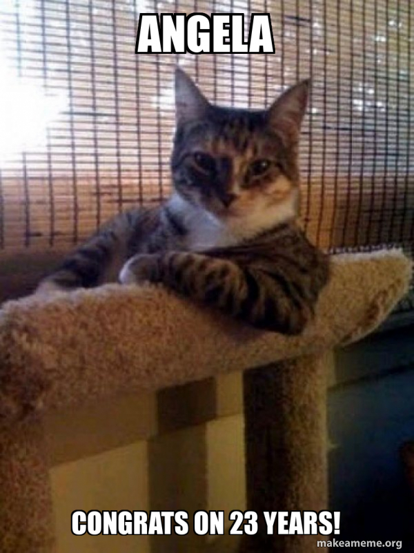 AnGela Congrats on 23 Years! - The Most Interesting Cat in the World ...